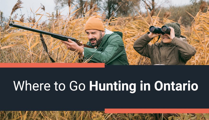 Where to Go Hunting in Ontario - GTA Guns and Gear